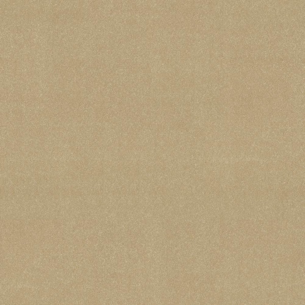 Lifeproof 8 in. x 8 in. Texture Carpet Sample - Park Royal -Color ...