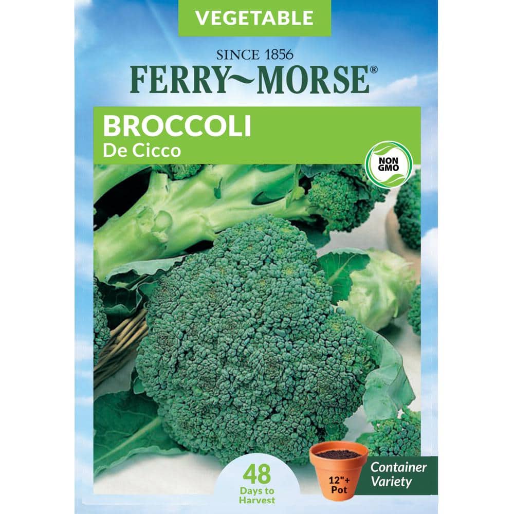 Ferry-Morse Broccoli De Cicco Vegetable Seed 4077 - The Home Depot