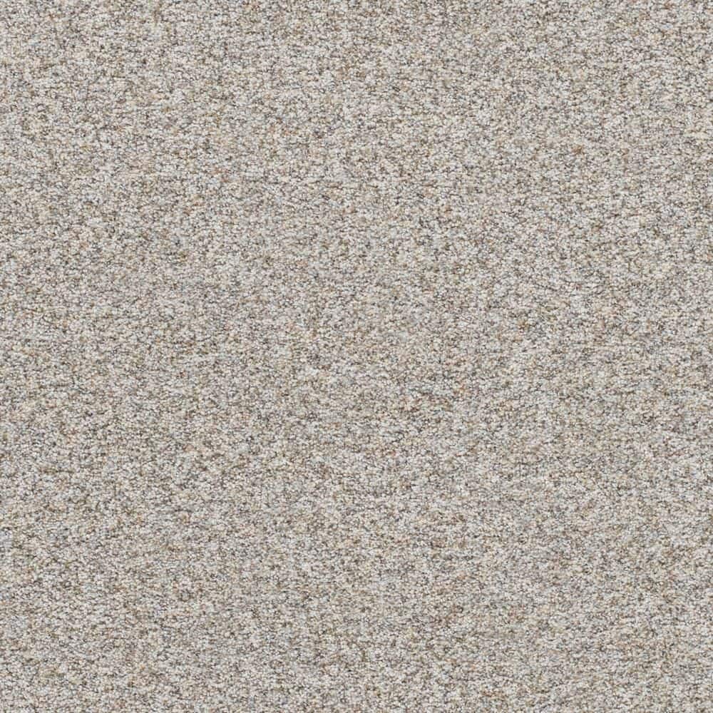 Lifeproof 8 in. x 8 in. Texture Carpet Sample-Modern Mosaic I-Color ...