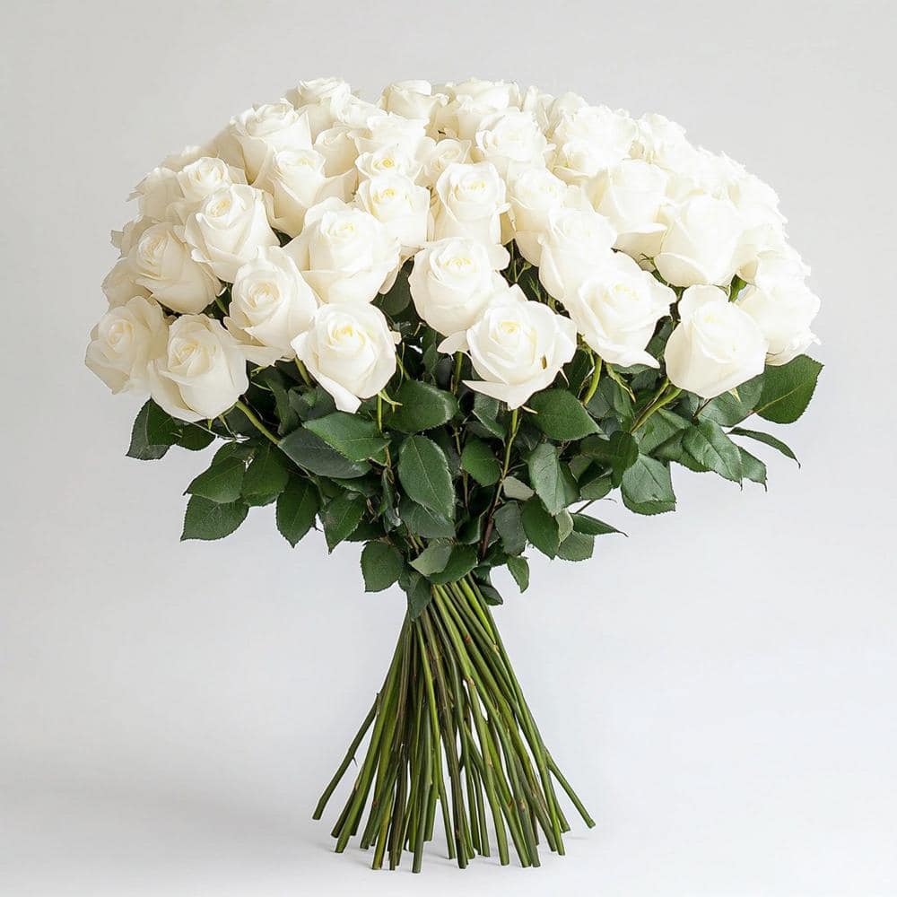Globalrose 50 Stems - Fresh Cut White Roses 1850500096794 - The Home Depot
