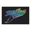 FANMATS Tampa Bay Devil Rays Black 1 ft. 7 in. x 2 ft. 6 in. Starter ...