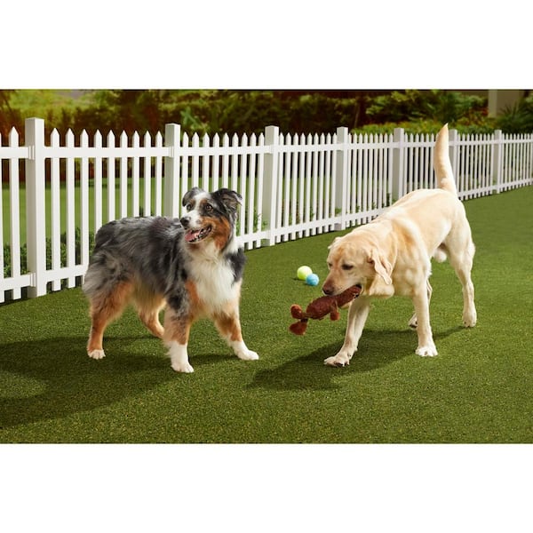 Lifeproof with Petproof Technology Premium Pet Turf 7.5 ft. x 10 ft ...
