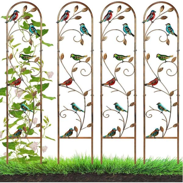 FAWEY TRED INC 60 in. Height Hummingbird Metal Garden Trellis for ...