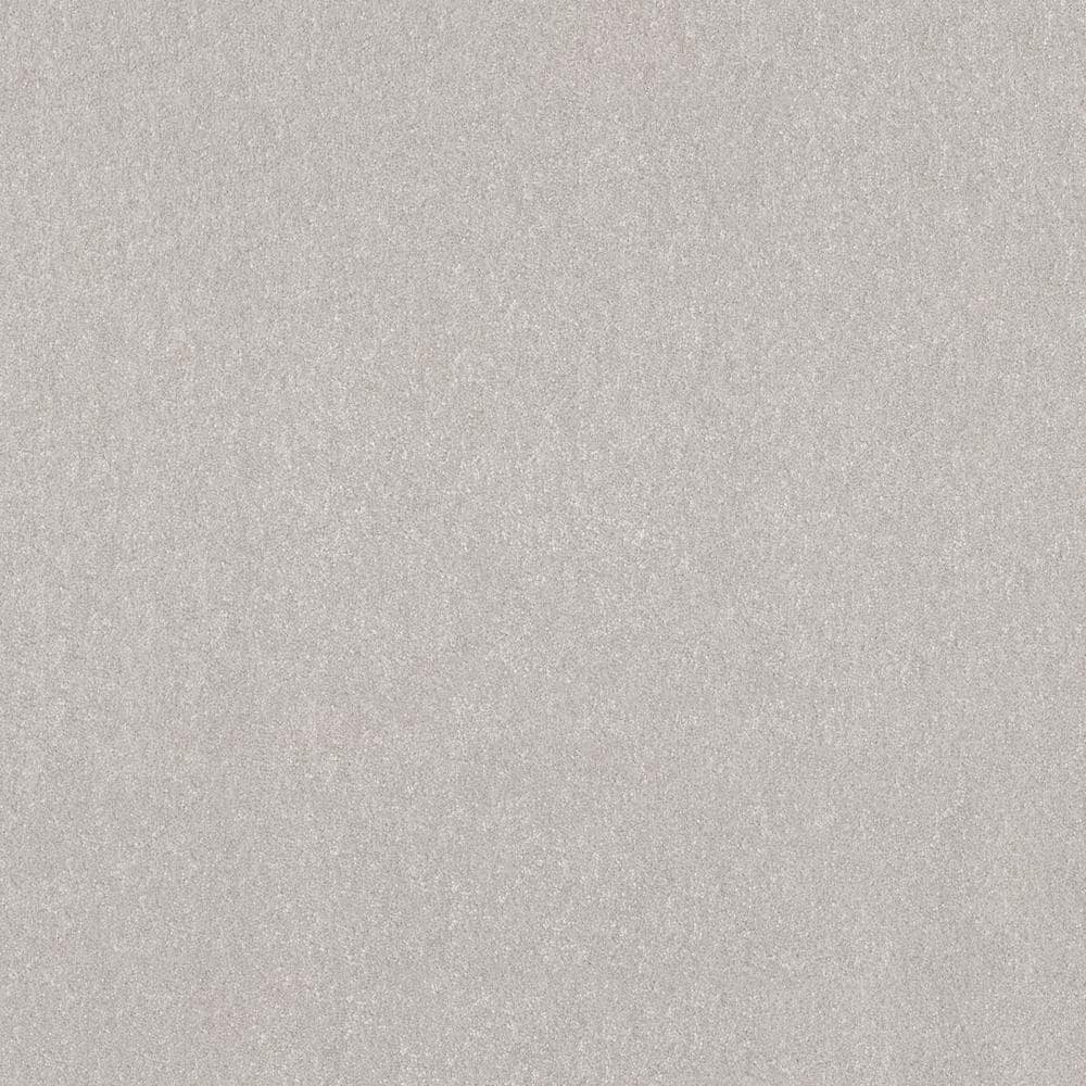 Lifeproof Blakely II - Gypsum-Beige 12 ft. 52 oz. High Performance ...