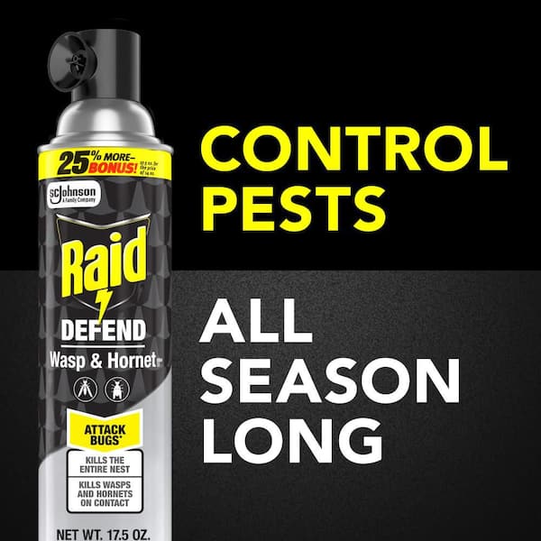 Raid Wasp and Hornet Killer, Stinging Bug Insecticide for Outdoor Use ...