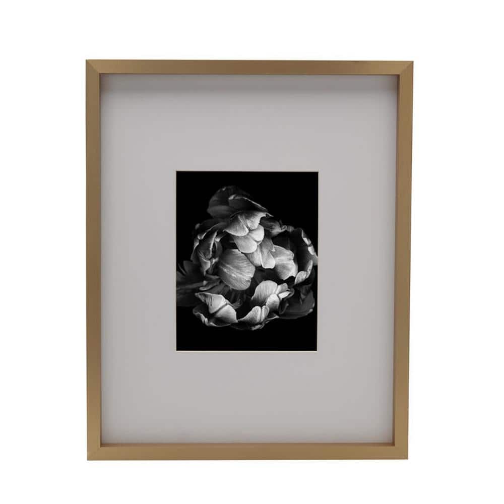 Mikasa Champagne Gallery Picture Frame -16 x 20 Matted to 8 x 10 ...