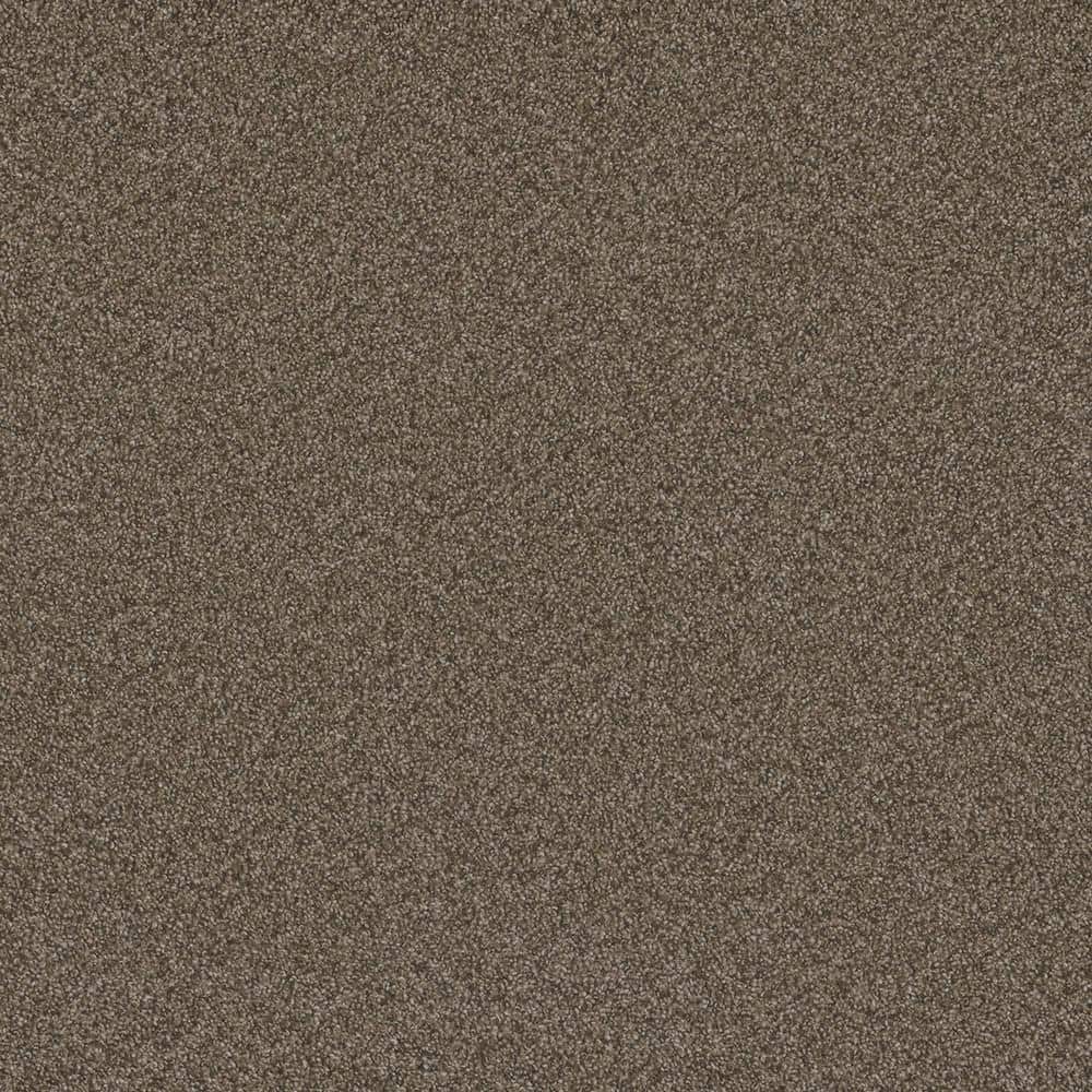 Home Decorators Collection Trendy Threads Plus III - Fremont - Brown 60 oz. SD Polyester Texture ...
