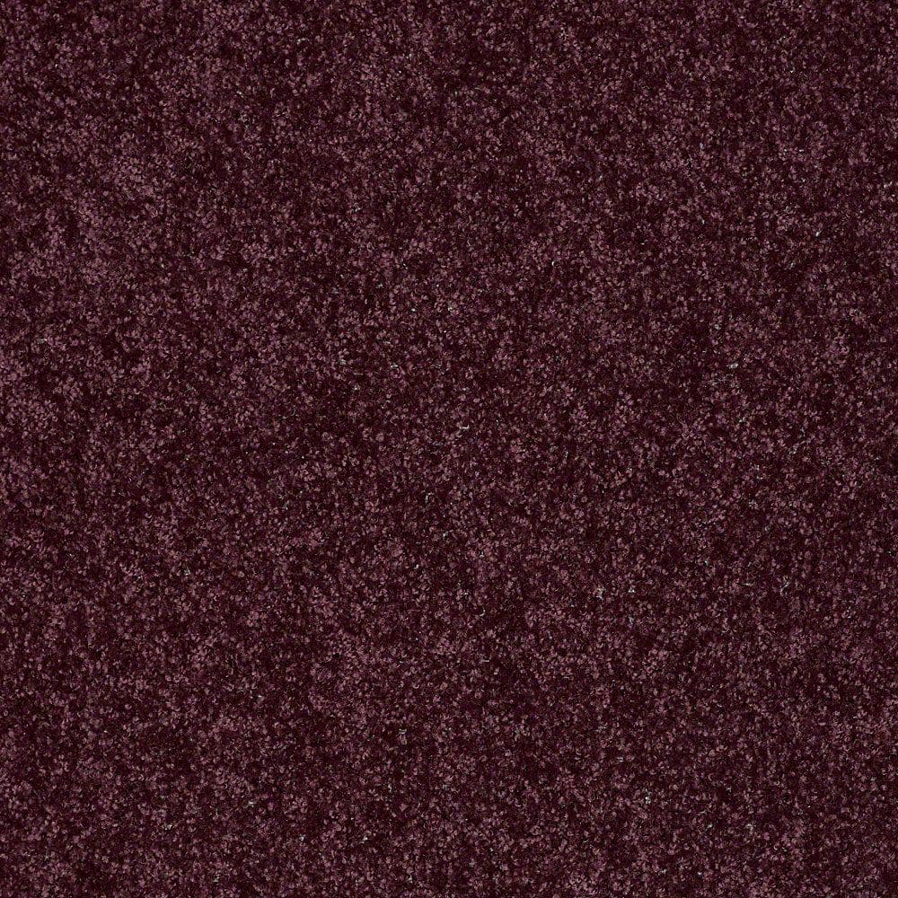 TrafficMaster 8 in. x 8 in. Texture Carpet Sample - Palmdale I - Color ...