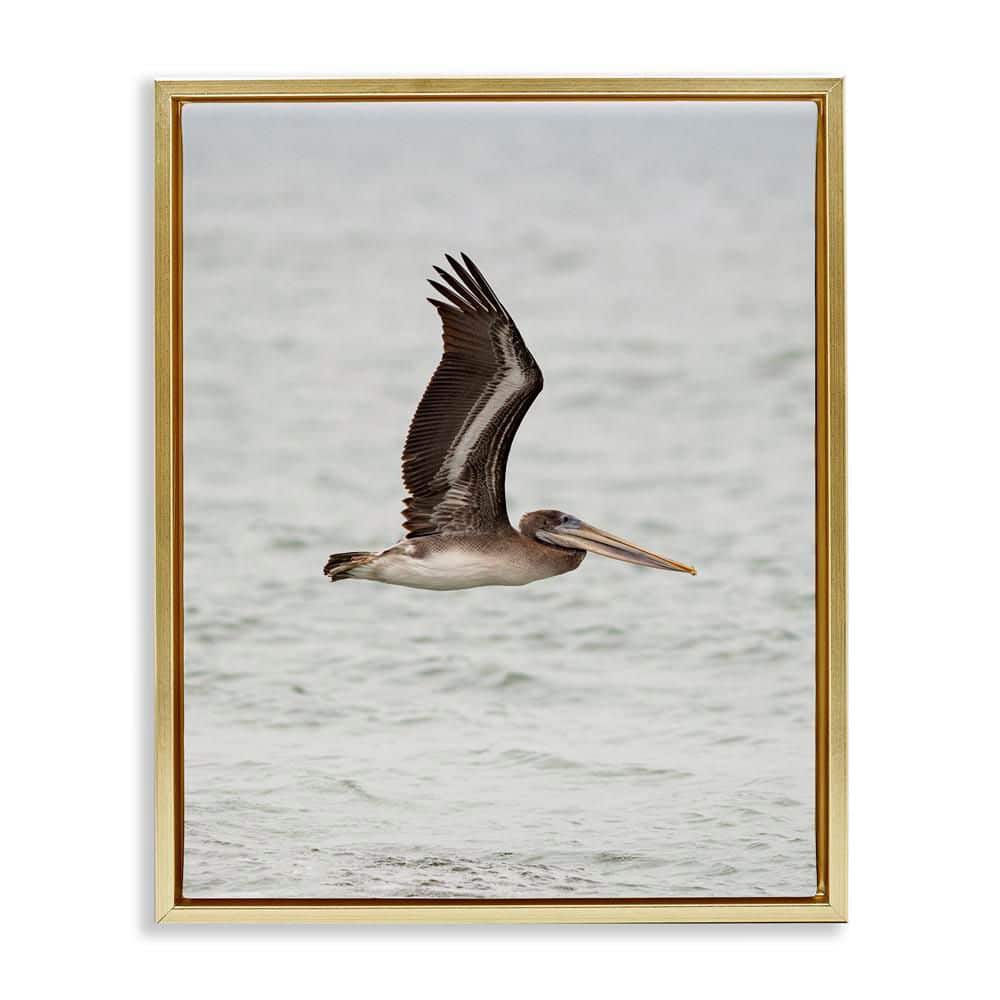 Stupell Industries Pelican Over Sea by Crystal Lynn Collins Gold ...