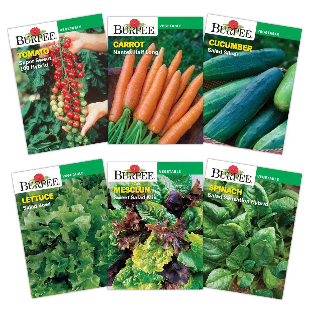 Burpee Salad Garden Vegetable Seed Collection (6-Pack) 72084 - The Home ...