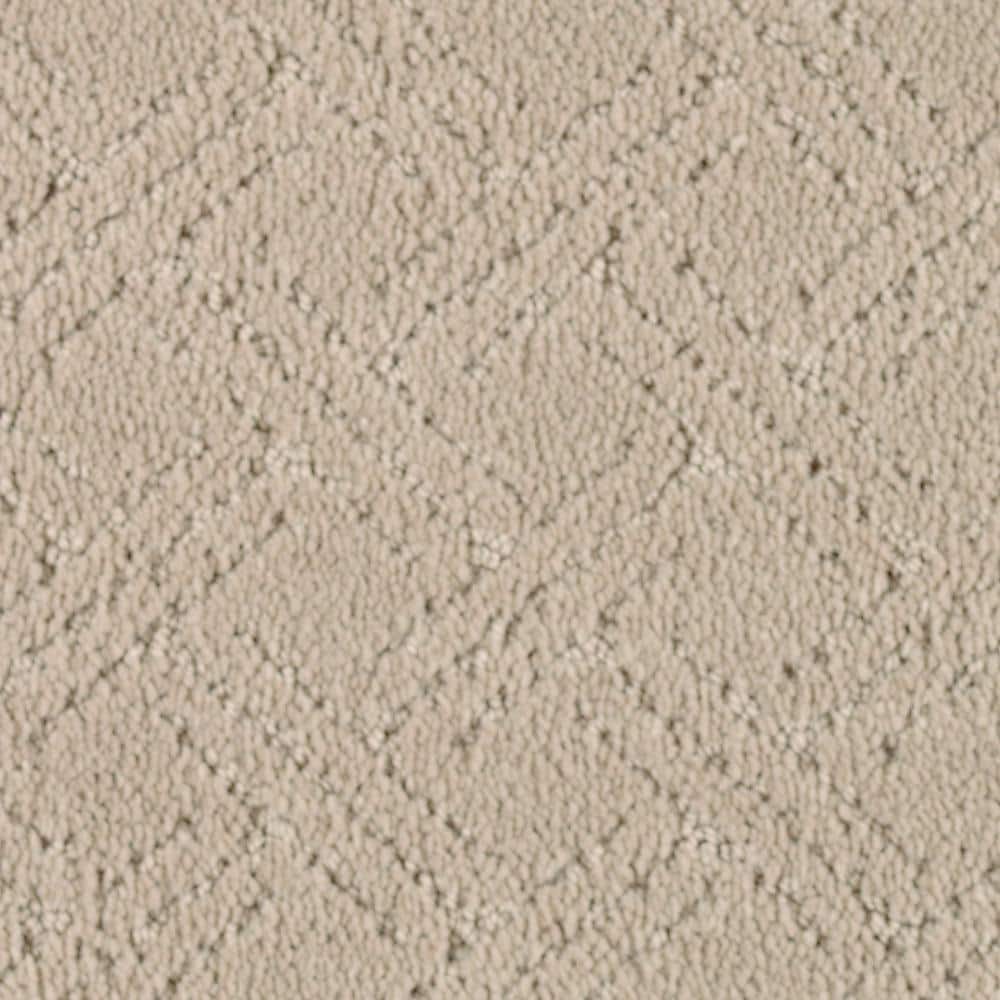 Lifeproof 8 in. x 8 in. Pattern Carpet Sample - Pure -Color Antelope MO ...