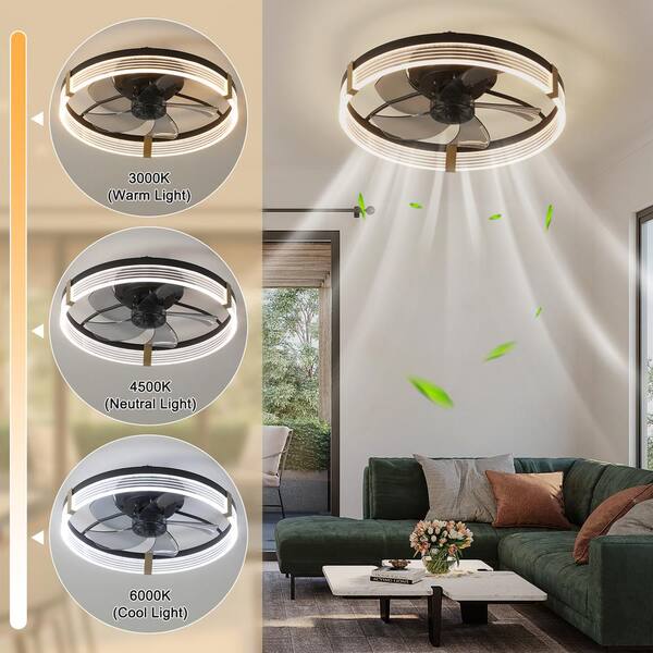 Clear Plastic Ceiling Fan Blades GoYeel 19.69 In. Modern/Contemporary