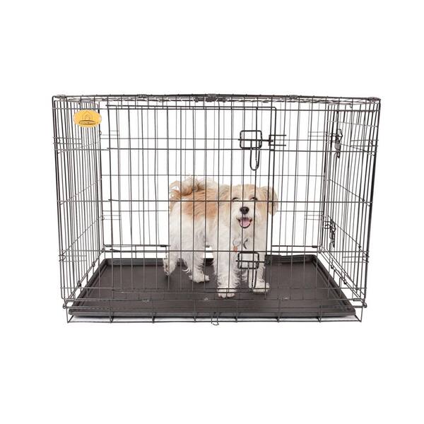 Are Wire Dog Crates Safe