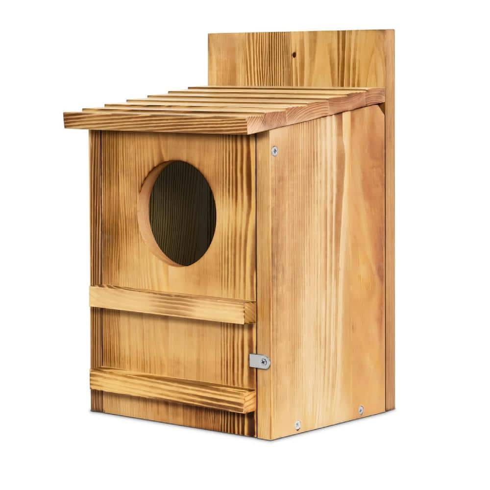 Justincity Owl Bird Box Large Handmade Wooden Circular Opening Screech ...