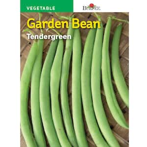 Beans - Vegetable Seeds - Plant Seeds - The Home Depot