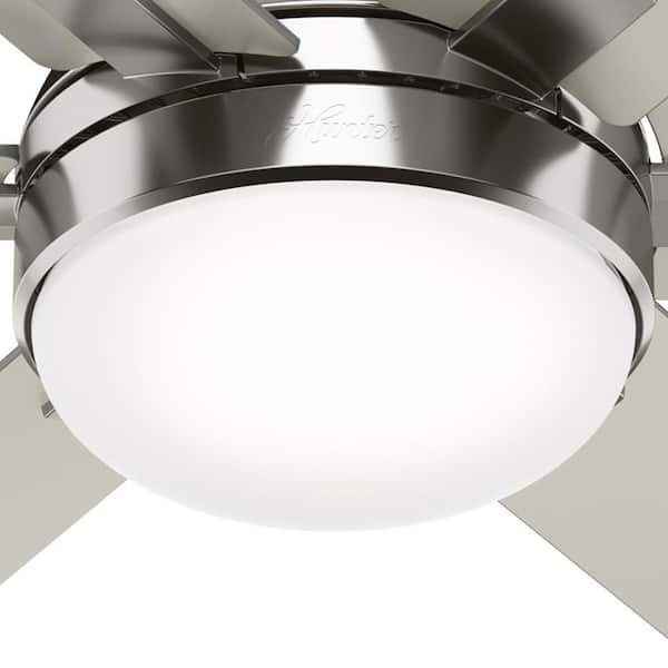 Holden 44 In Indoor Brushed Nickel Ceiling Fan With Light Kit | Shelly ...