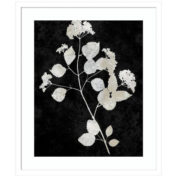 Amanti Art "Plant Life White on Black VI" by Danielle Carson 1 Piece ...