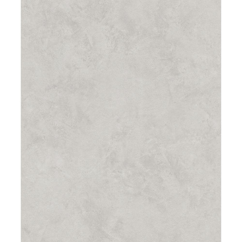 Advantage 8 in. x 10 in. Escher Light Grey Plaster Sample 4015 ...
