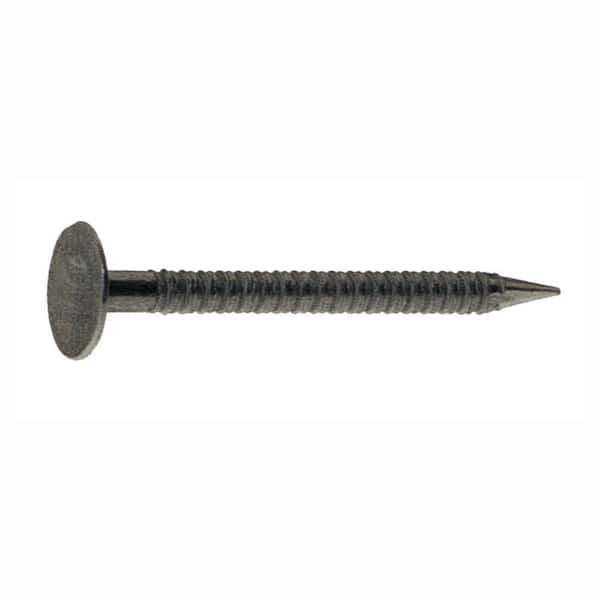 Grip-Rite #12-1/2 x 1-5/8 in. Bright Ring Shank Drywall Nail (5 lb ...