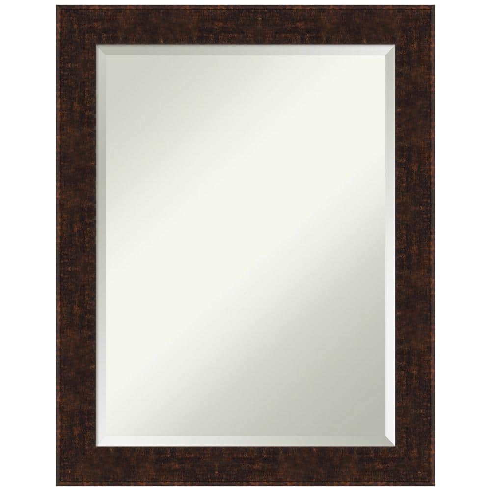 Amanti Art William Mottled Bronze Narrow 22 in. H x 28 in. W Framed ...