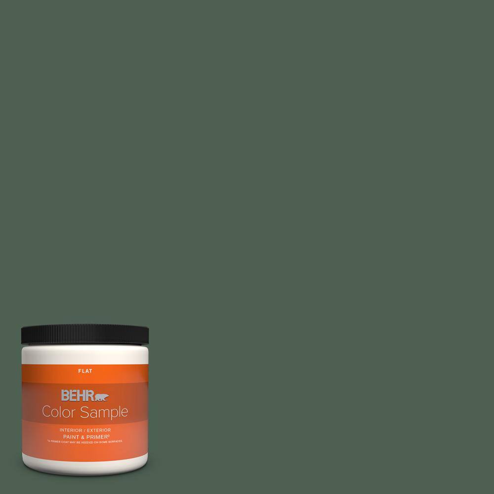 BEHR PREMIUM PLUS 8 oz. #PPU11-20 Congo Flat Interior/Exterior Paint ...