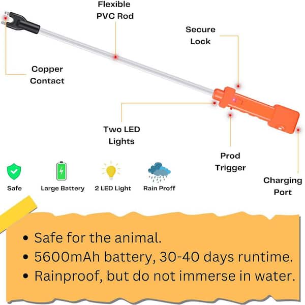 Cattle Prod Taser Rechargeable Livestock Prod For Cattle, Cow, Hog ...