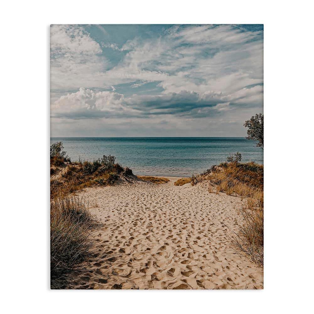 Stupell Industries Traveled Beach Path by LSR Design Studio Unframed ...