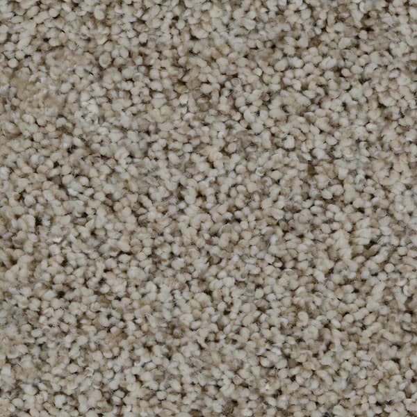 Trendy Threads III - Color Lakeview Texture 12 ft. Carpet H2011-795 ...