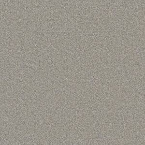 Home Decorators Collection 8 in. x 8 in. Texture Carpet Sample - Trendy ...