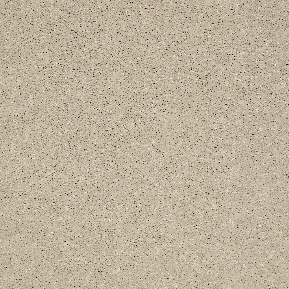 Home Decorators Collection 8 in. x 8 in. Texture Carpet Sample - Brave ...