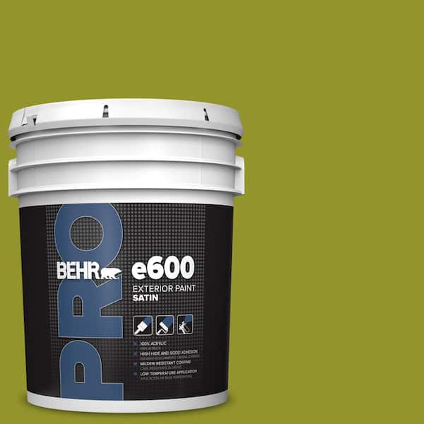 BEHR PRO 5 gal. #P350-7 Lazy Lizard Satin Exterior Paint PR64305 - The ...