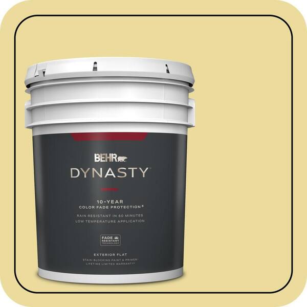 BEHR DYNASTY 5 gal. #P330-3A Flourish Flat Exterior Stain-Blocking ...