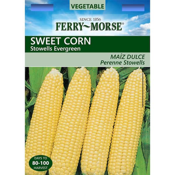 Ferry-Morse Sweet Corn Stowell's Evergreen Seed 0508 - The Home Depot