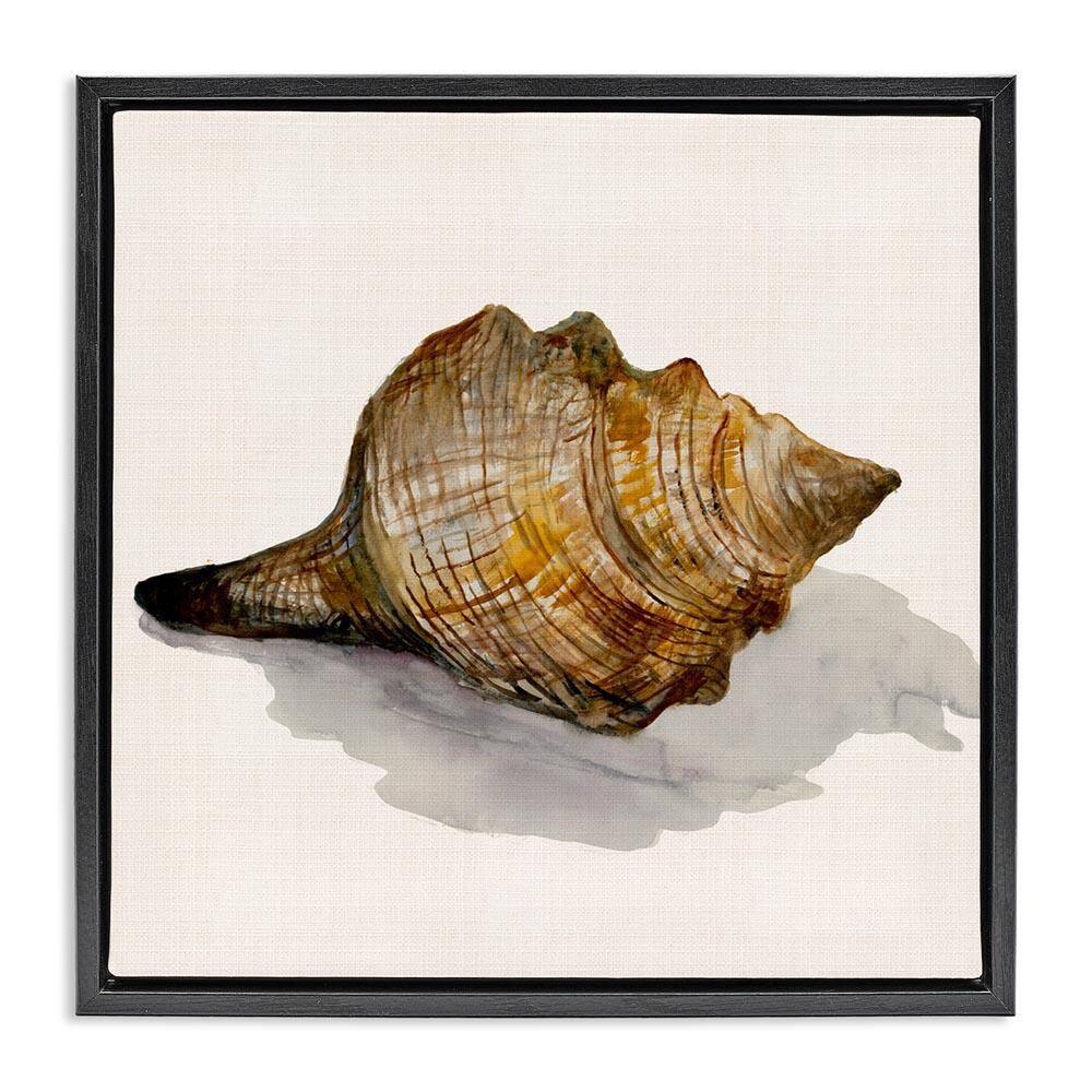 Stupell Industries Conch Shell on Beige by Jacob Q Black Floater Frame ...