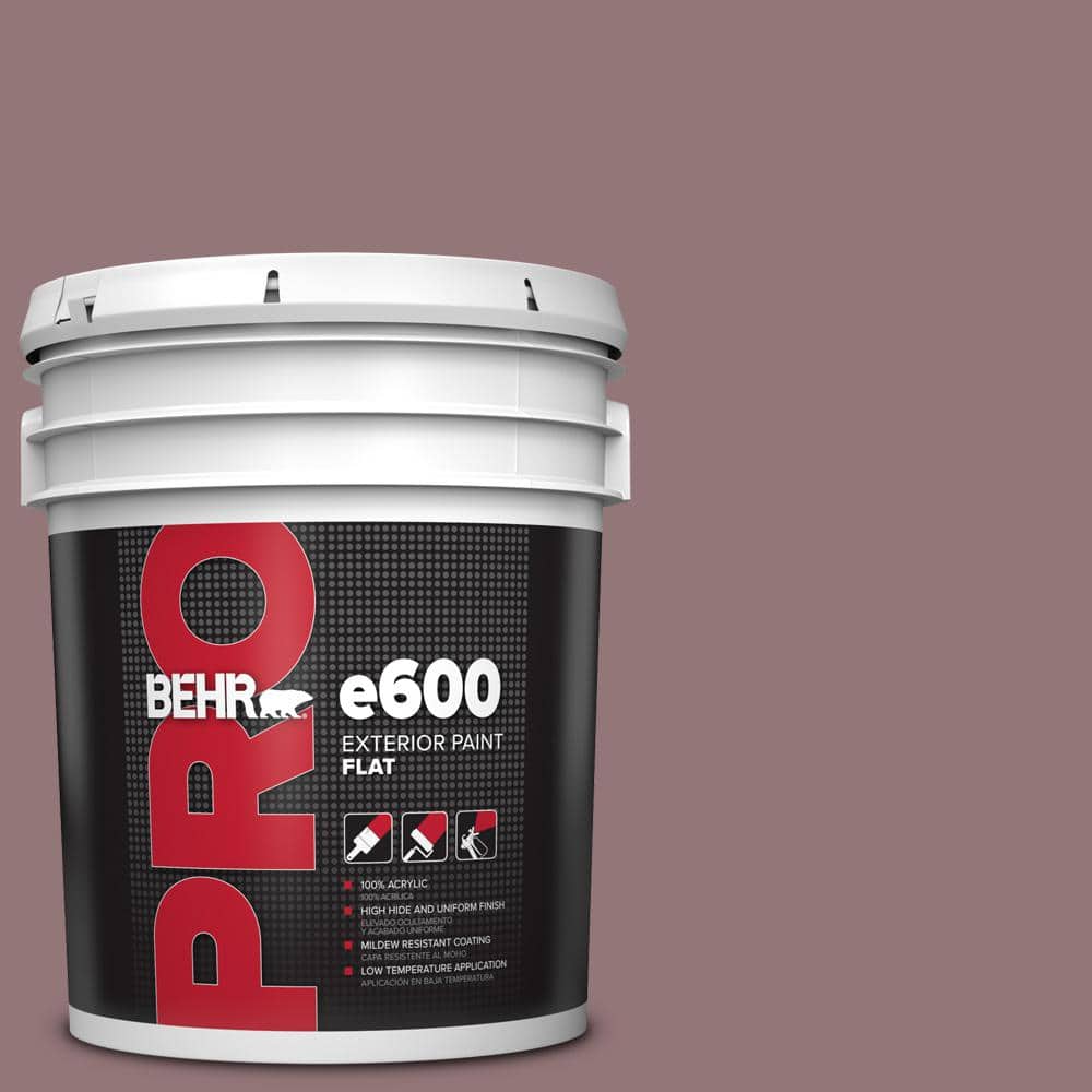 BEHR PRO 5 gal. #110F-5 Phantom Hue Flat Exterior Paint PR61305 - The ...