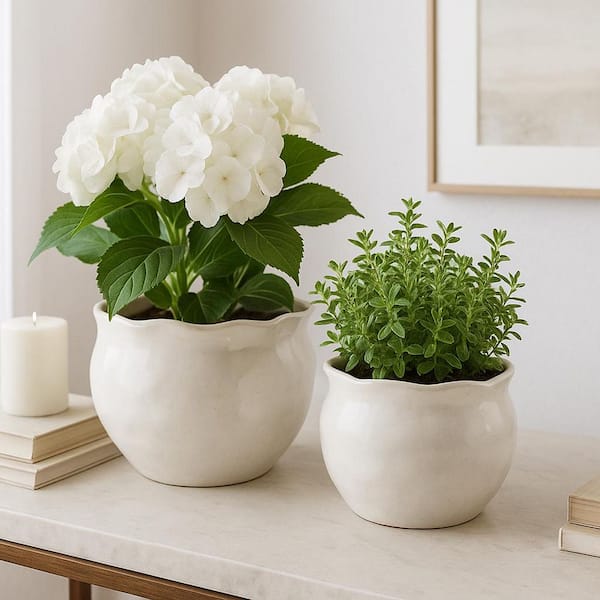 Liv & Skye 9 in. and 12 in. White Ceramic Round Wavy Edge Decorative ...
