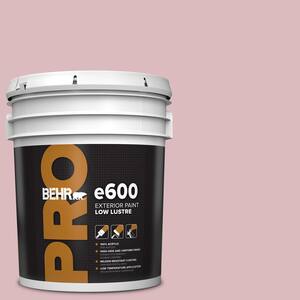 BEHR PRO 1 gal. #S130-2 Shy Smile Low Luster Exterior Paint PR62001 ...