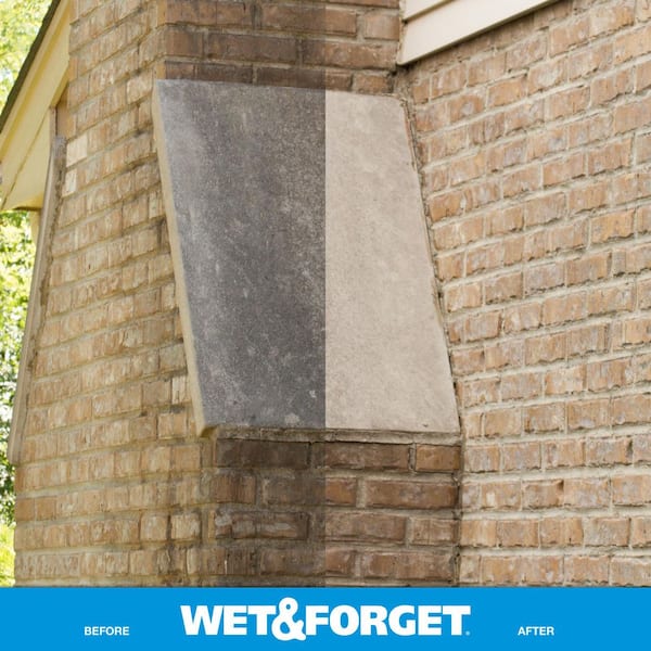 Wet and Forget . 5 Gal. Outdoor Concentrate Cleaner 800064 - The Home Depot