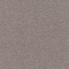 Home Decorators Collection 8 in x 8 in. Texture Carpet Sample ...