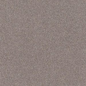 Home Decorators Collection 8 in x 8 in. Texture Carpet Sample ...