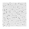 USG Ceilings 2 ft. x 4 ft. Radar Basic White Square Edge Lay-In Ceiling ...