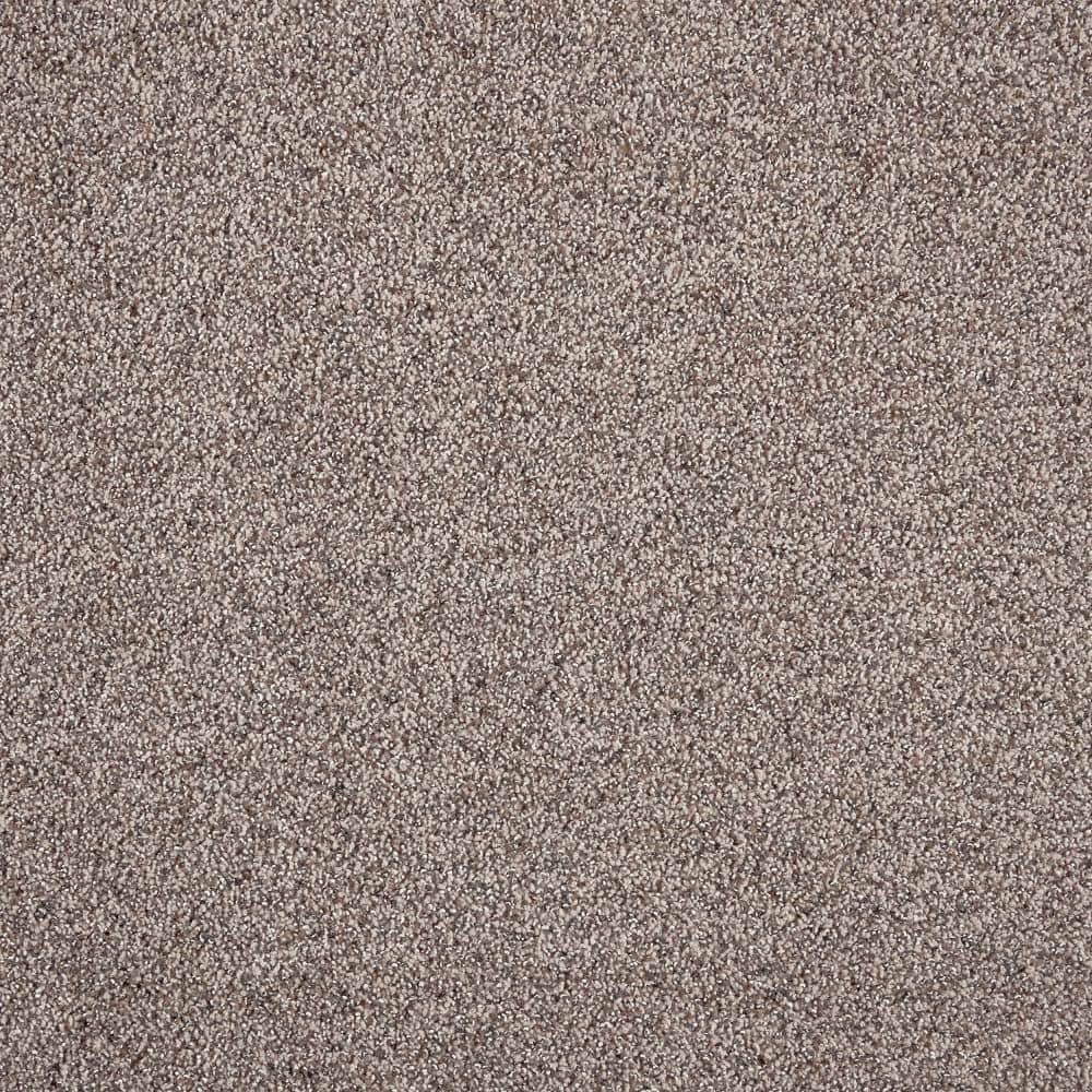 Mohawk 8 in. x 8 in. Texture Carpet Sample - Playful Moments II (M ...
