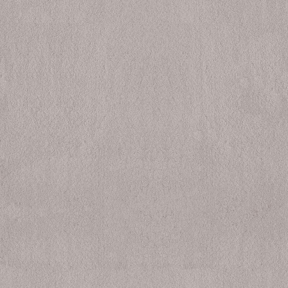 Lifeproof Dreamy Daze II Lapis Beige 66 oz. Nylon Texture Carpet ...