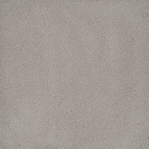 Home Decorators Collection 8 in. x 8 in. Texture Carpet Sample - First ...