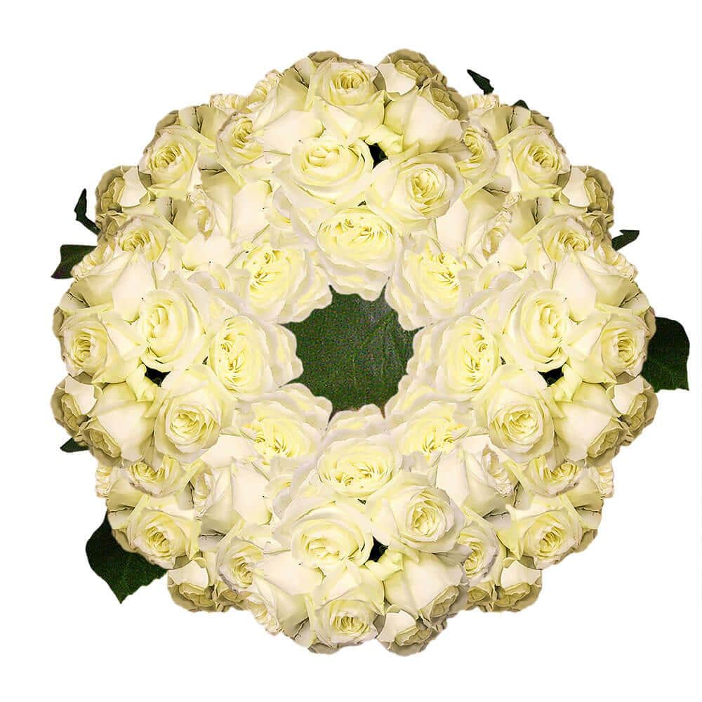 Globalrose 250 Stems of Pure White Polo Roses Fresh Flower Delivery ...