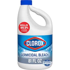 HDX 121 oz. Pro Strength Concentrated Outdoor Liquid Bleach Cleaner ...