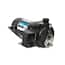 Wayne Upgraded 1 HP Cast Iron Convertible Well Jet Pump-CWS100 WYN2 ...