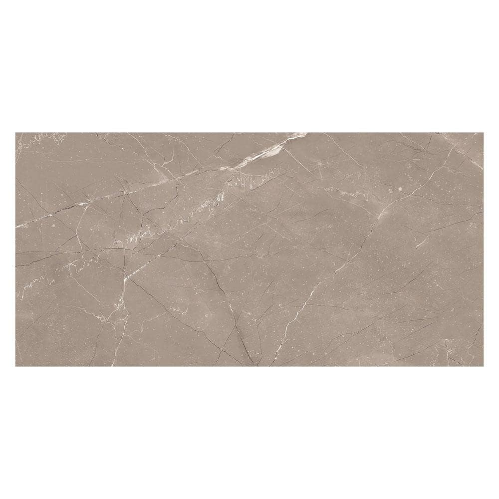 ANDOVA Kaia Zoistra Brown 12 in. x 24 in. Stone Look Matte Porcelain ...