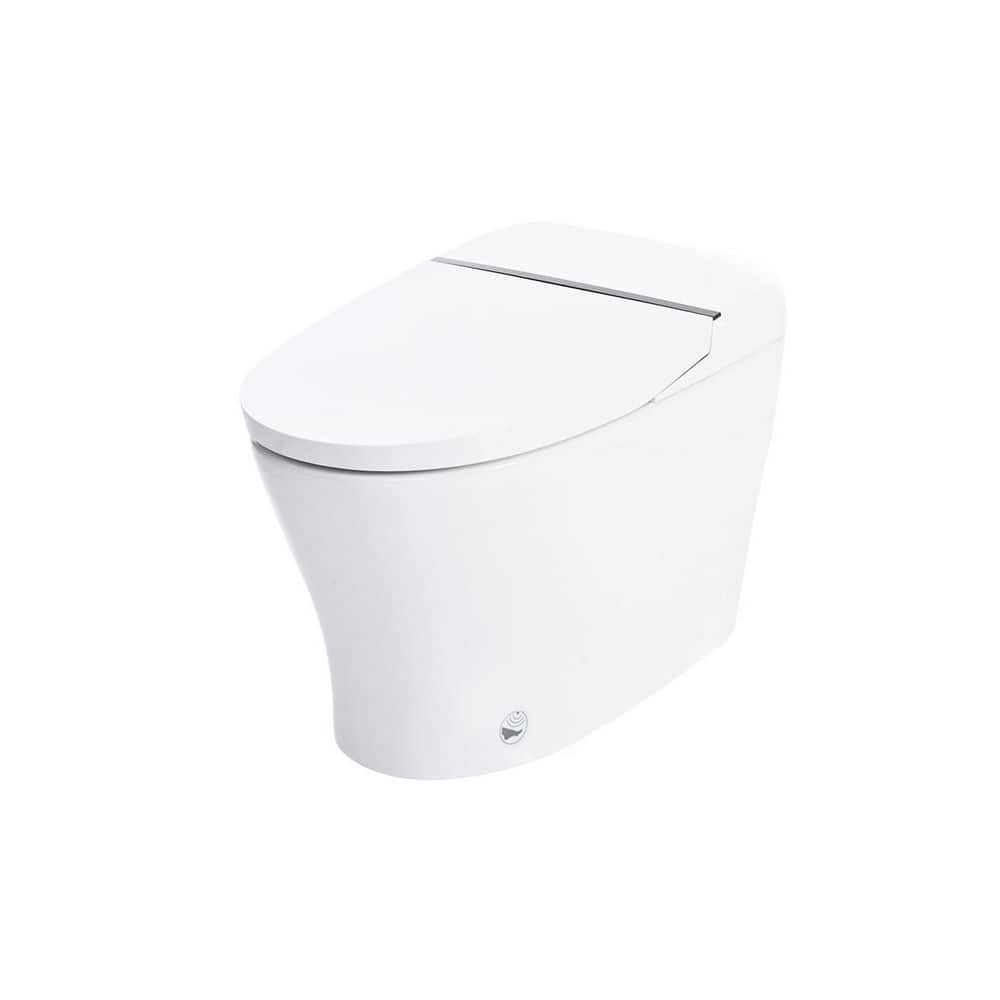 TCYO Elongated Bidet Toilet 1/1.28 GPF in White with Self-Cleaning ...