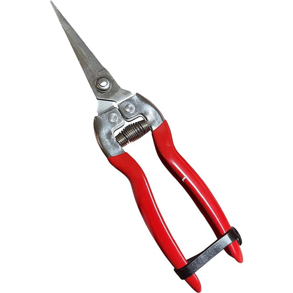 GARDEN GURU Straight Stainless Steel Pruner Pruning Shears Clippers ...